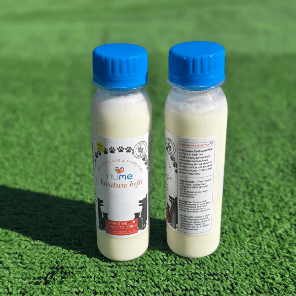 Milk Kefir for Cats and Dogs (100ml)