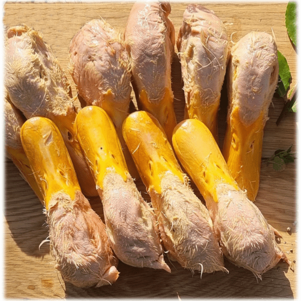 Duck Heads Whole Raw for Cats and Dogs (High Protein), 500gr