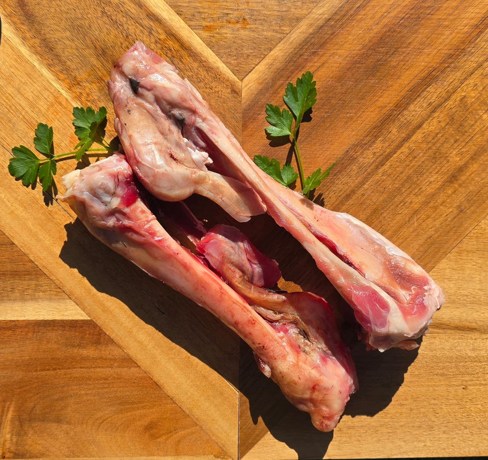 Warthog Venison Sinew Raw Bones for Dogs (100% Natural)